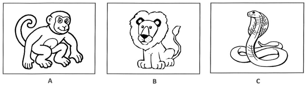Practice KET (A2) Listening Test 20 with Answers and Audioscripts ...