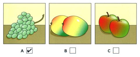 Practice English Listening Test for Starters - Listening for Everyday ...