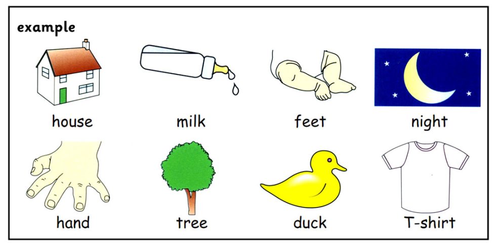 A baby - Starters English Reading Test - English Practice Test