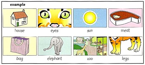 A tiger - Starters English Reading Test - English Practice Test